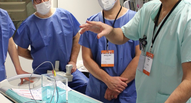ESIR: intensive courses on IR treatments