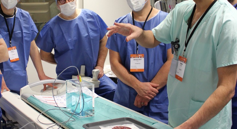 ESIR: intensive courses on IR treatments